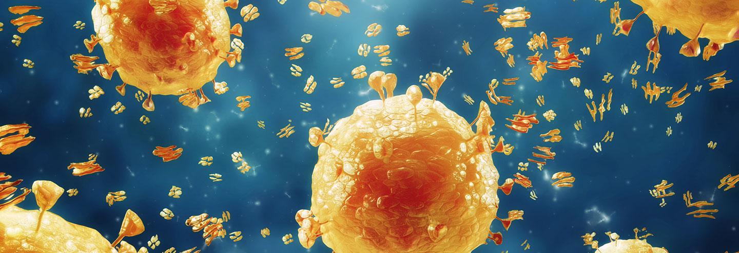 Optimizing Transient Transfection for Viral Vector Production